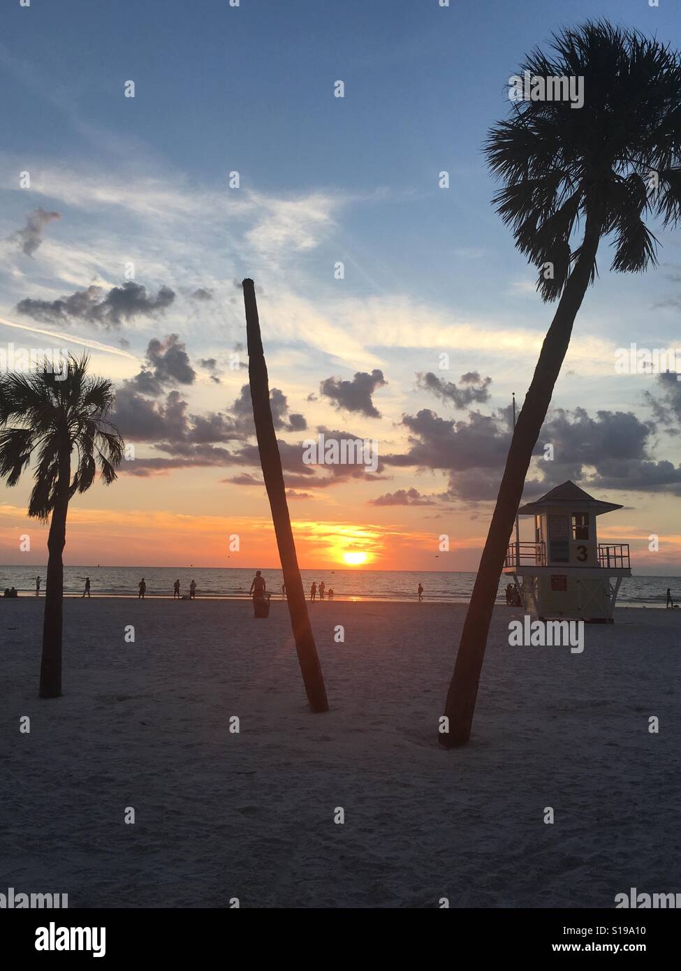 Sunset beach with palm tree missing palms Stock Photo - Alamy