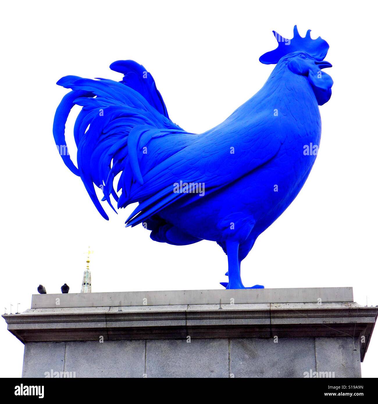 Cockerel art hi-res stock photography and images - Alamy