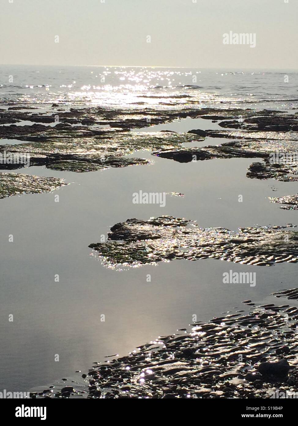 English rock pools hi-res stock photography and images - Alamy