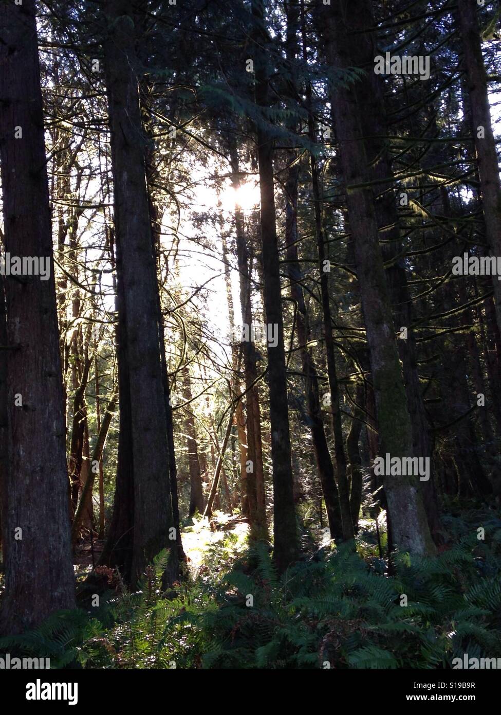 Daylight break hi-res stock photography and images - Alamy