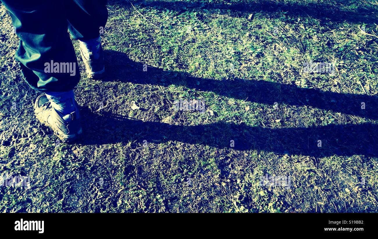 One person's lower legs and feet walking over grass. Long shadow ...