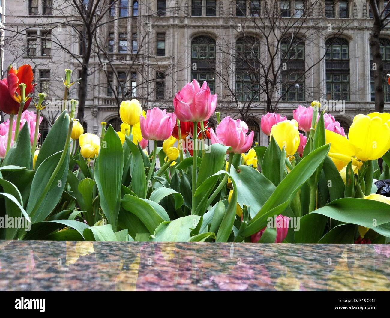 Building with flowers hi-res stock photography and images - Alamy