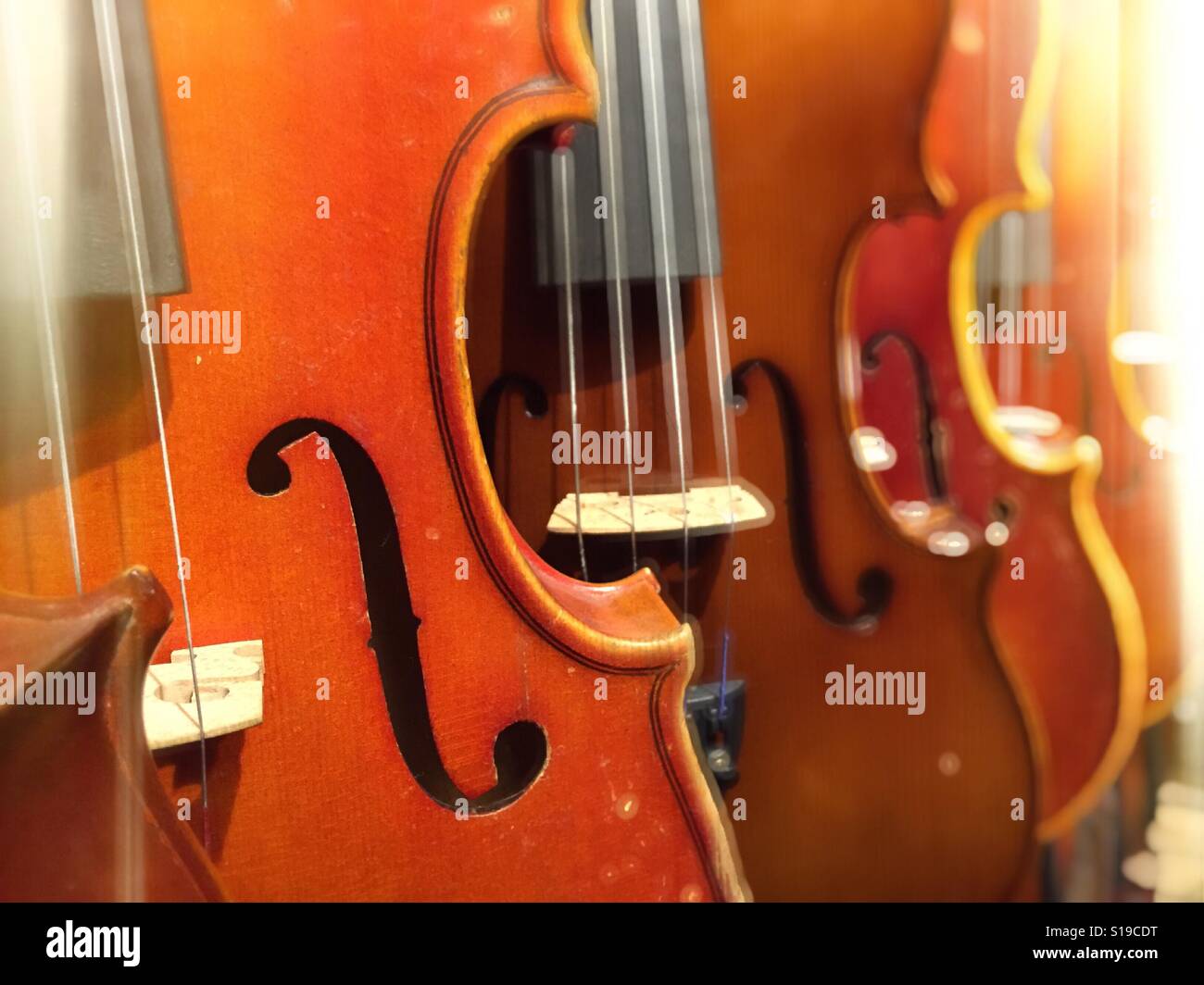 Focus on the violin hi-res stock photography and images - Alamy