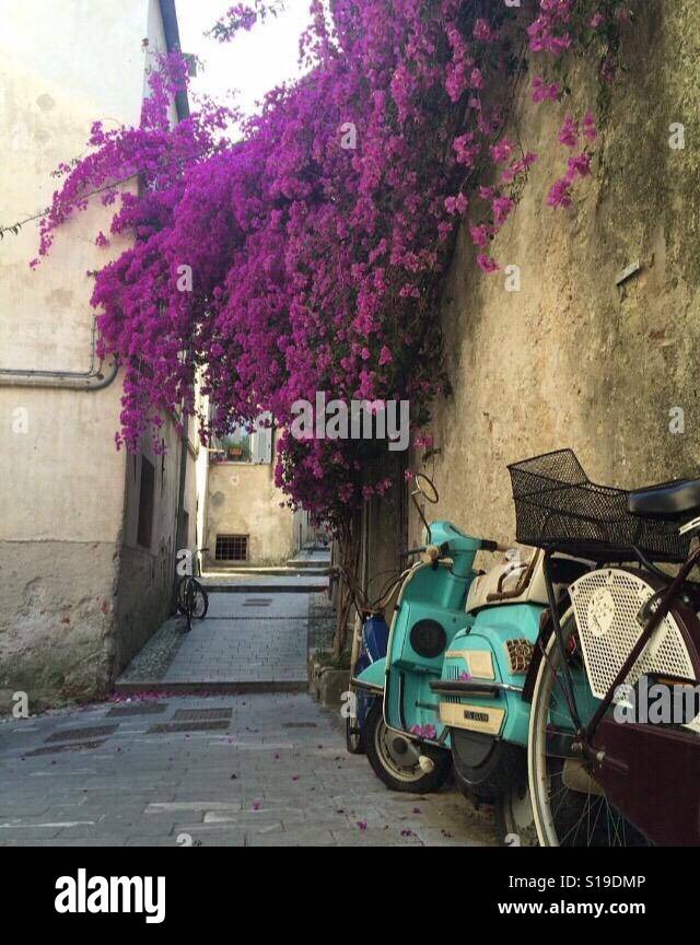 Streets of italy hi-res stock photography and images - Alamy