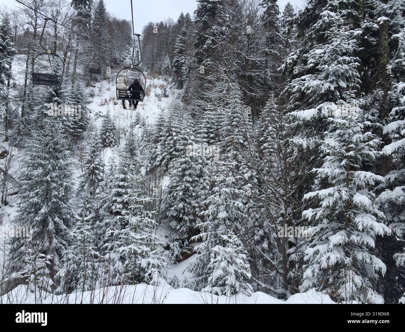 A perfect moment to show the beauty of the nature, combined with a ...