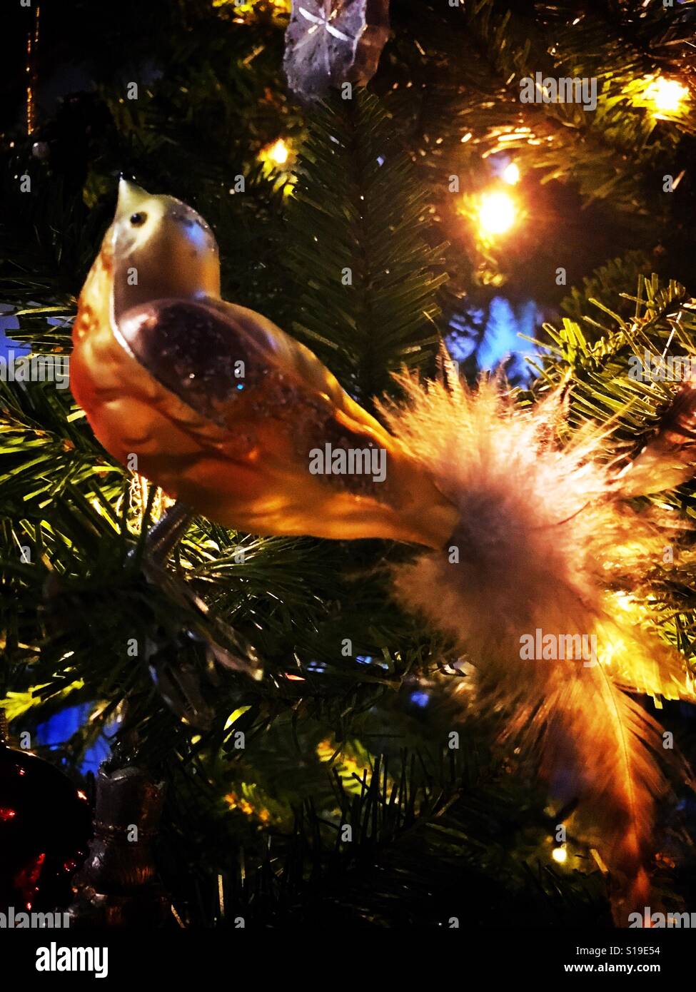 Magical bird hi-res stock photography and images - Alamy