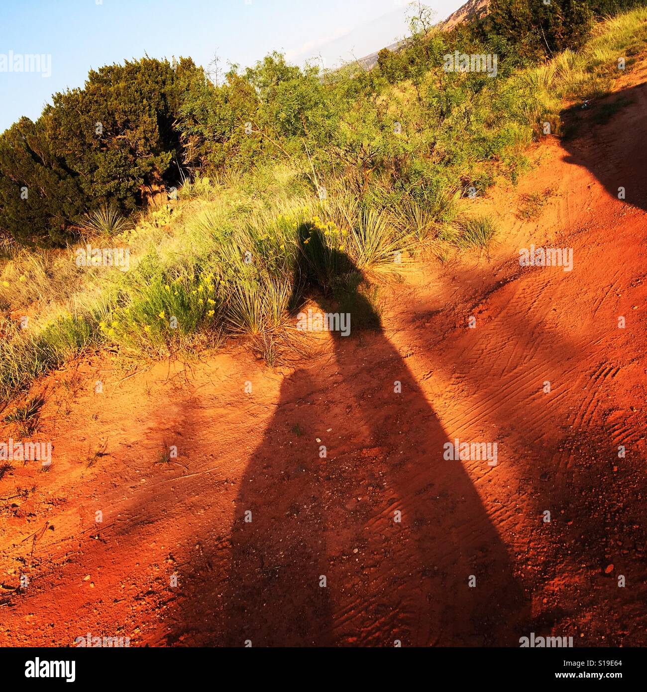 Shadow nature hi-res stock photography and images - Alamy