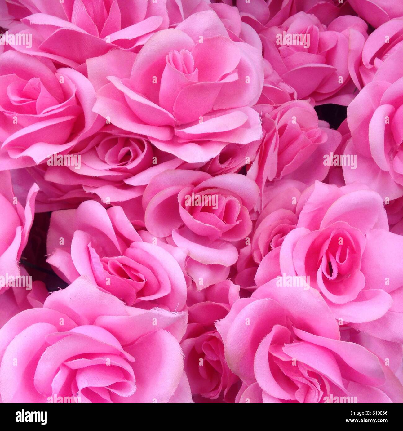 Artificial roses hi-res stock photography and images - Alamy
