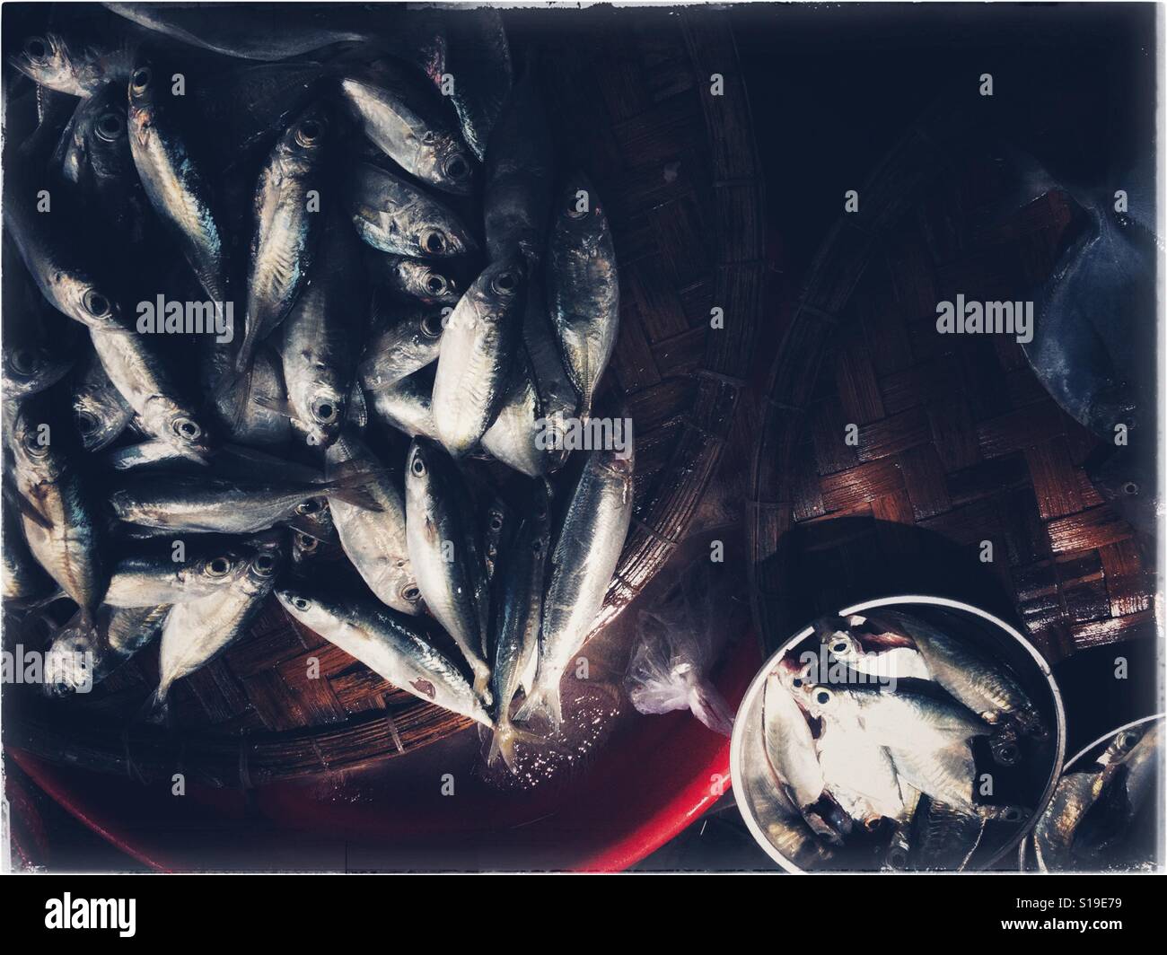 Freshness photography hi-res stock photography and images - Alamy