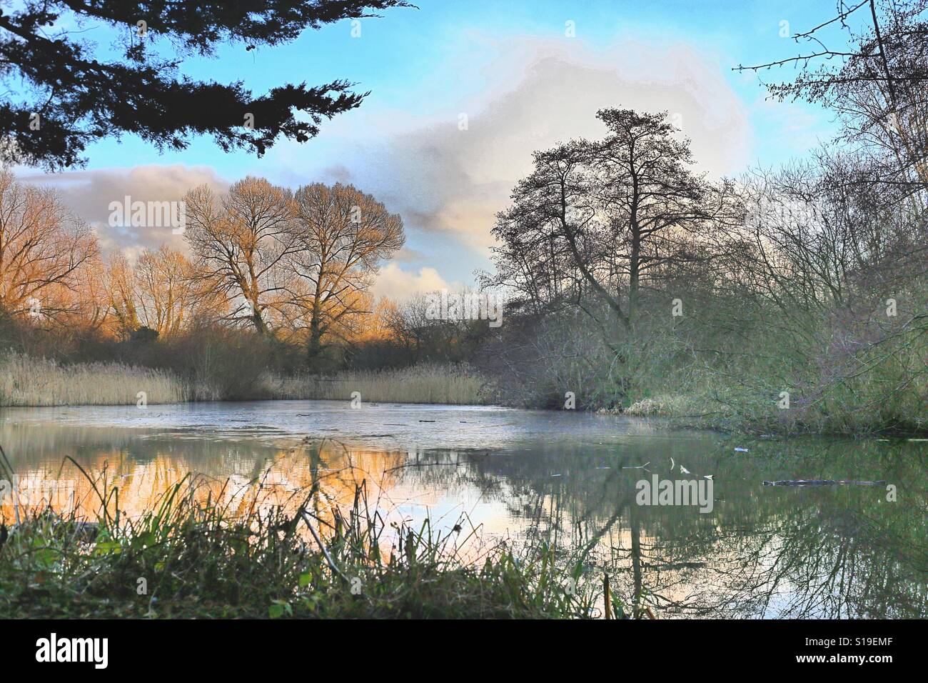 Gathering thoughts by the Lake Stock Photo - Alamy