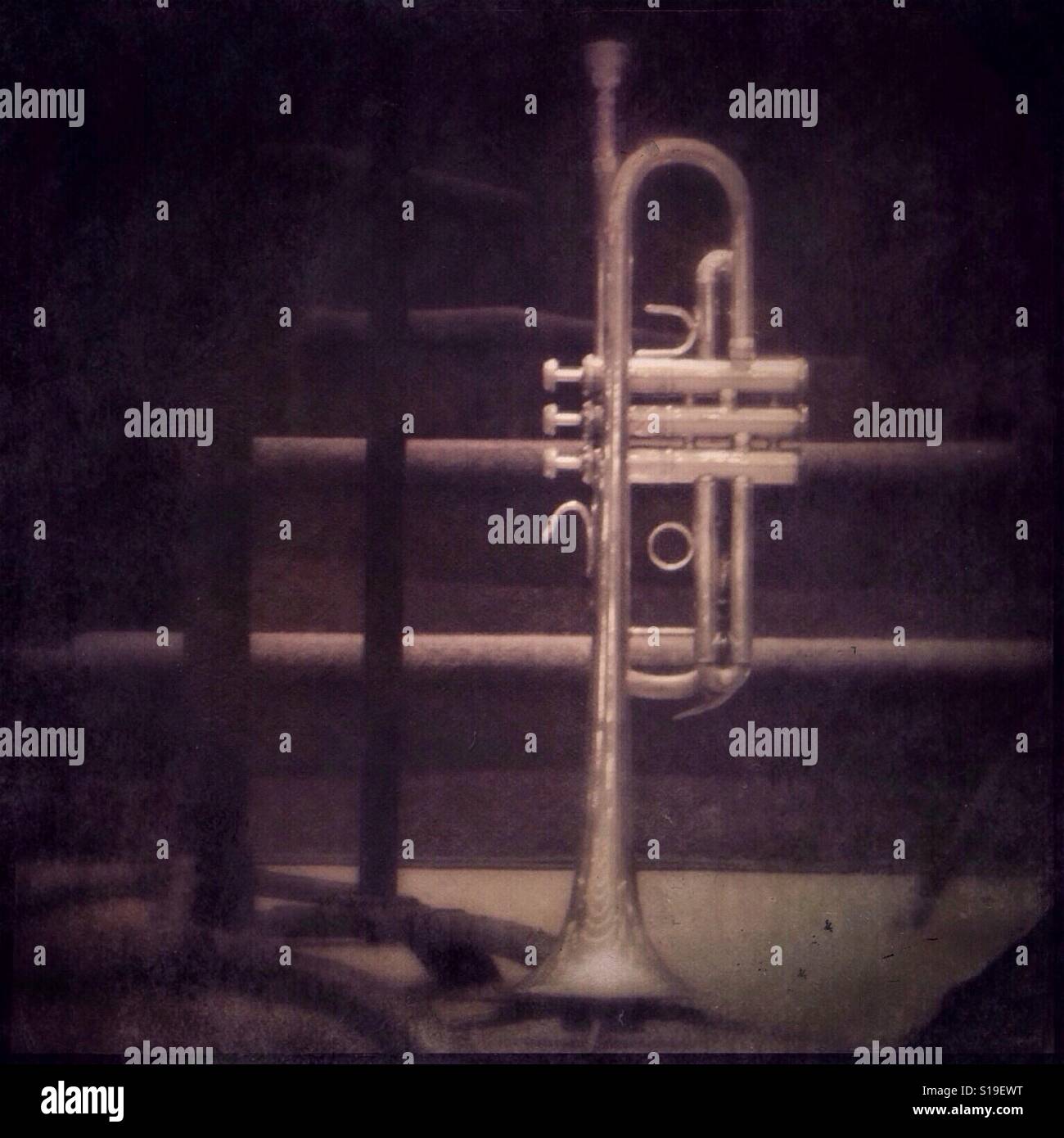 Standing trumpet High Resolution Stock Photography and Images - Alamy