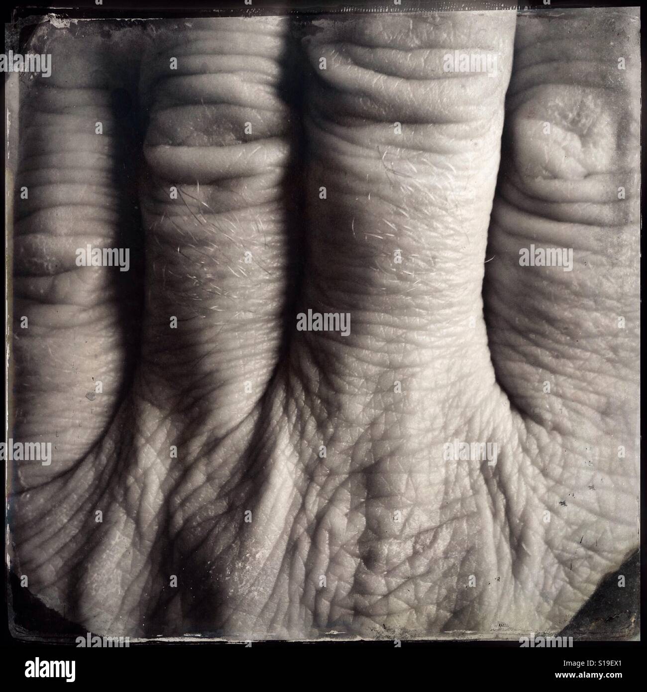 Body texture hi-res stock photography and images - Alamy