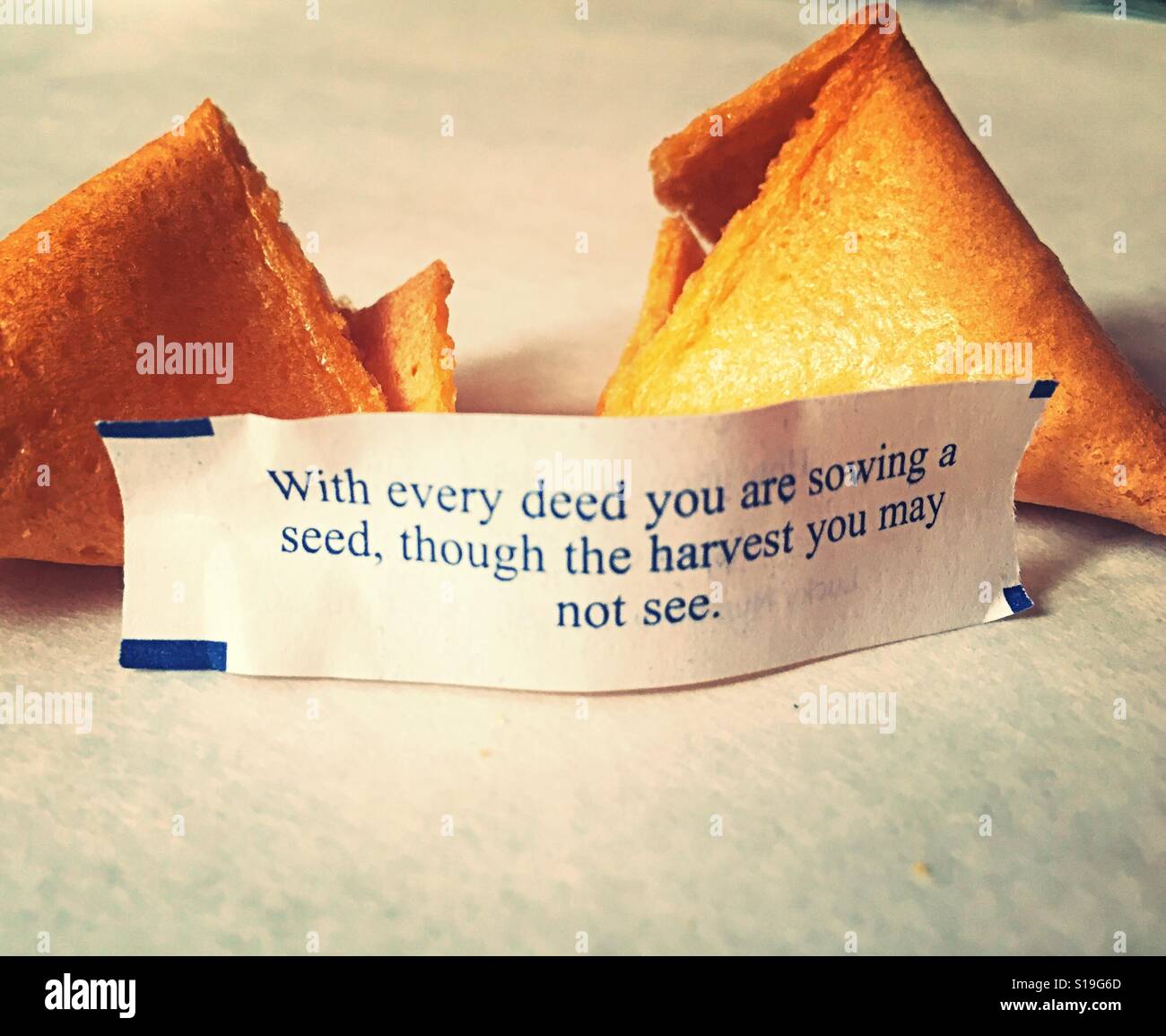 Fortune cookie broken open with fortune visible, USA Stock Photo - Alamy Fortune cookie broken open with fortune visible, USA Stock Photo - Alamy
