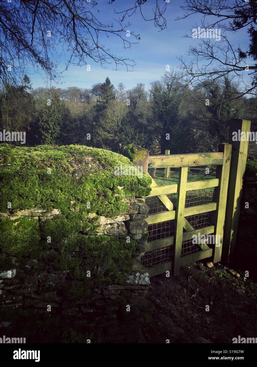 Wooden gate in forest hi-res stock photography and images - Alamy