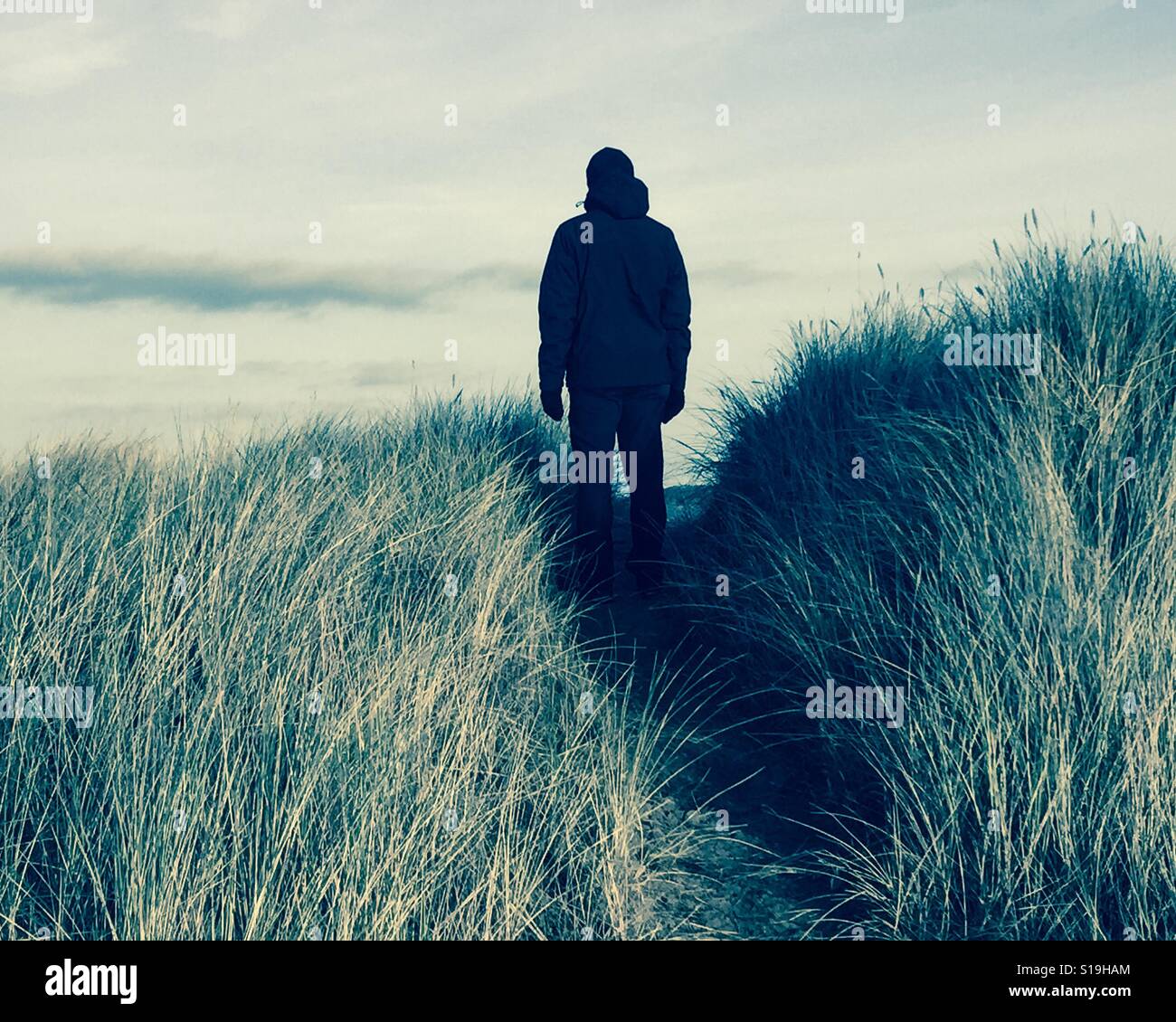 Path through long grass hi-res stock photography and images - Alamy