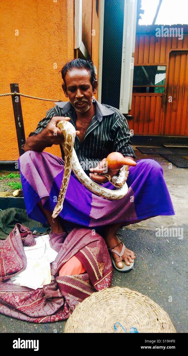 Snake Tamer High Resolution Stock Photography and Images - Alamy