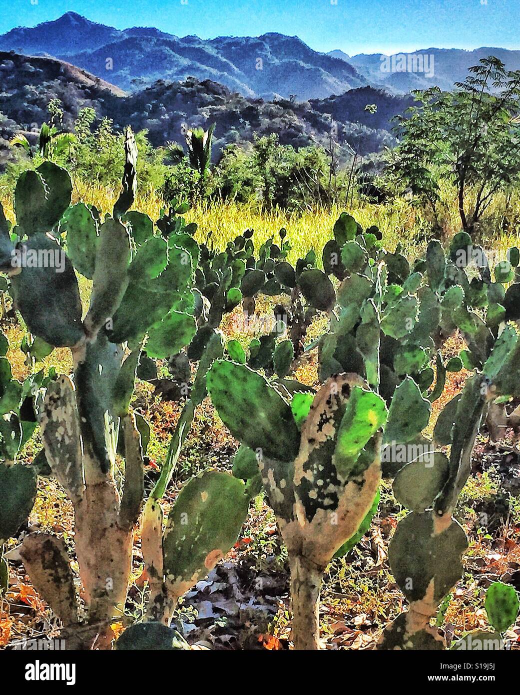 Rural mexico mountains hi-res stock photography and images - Alamy