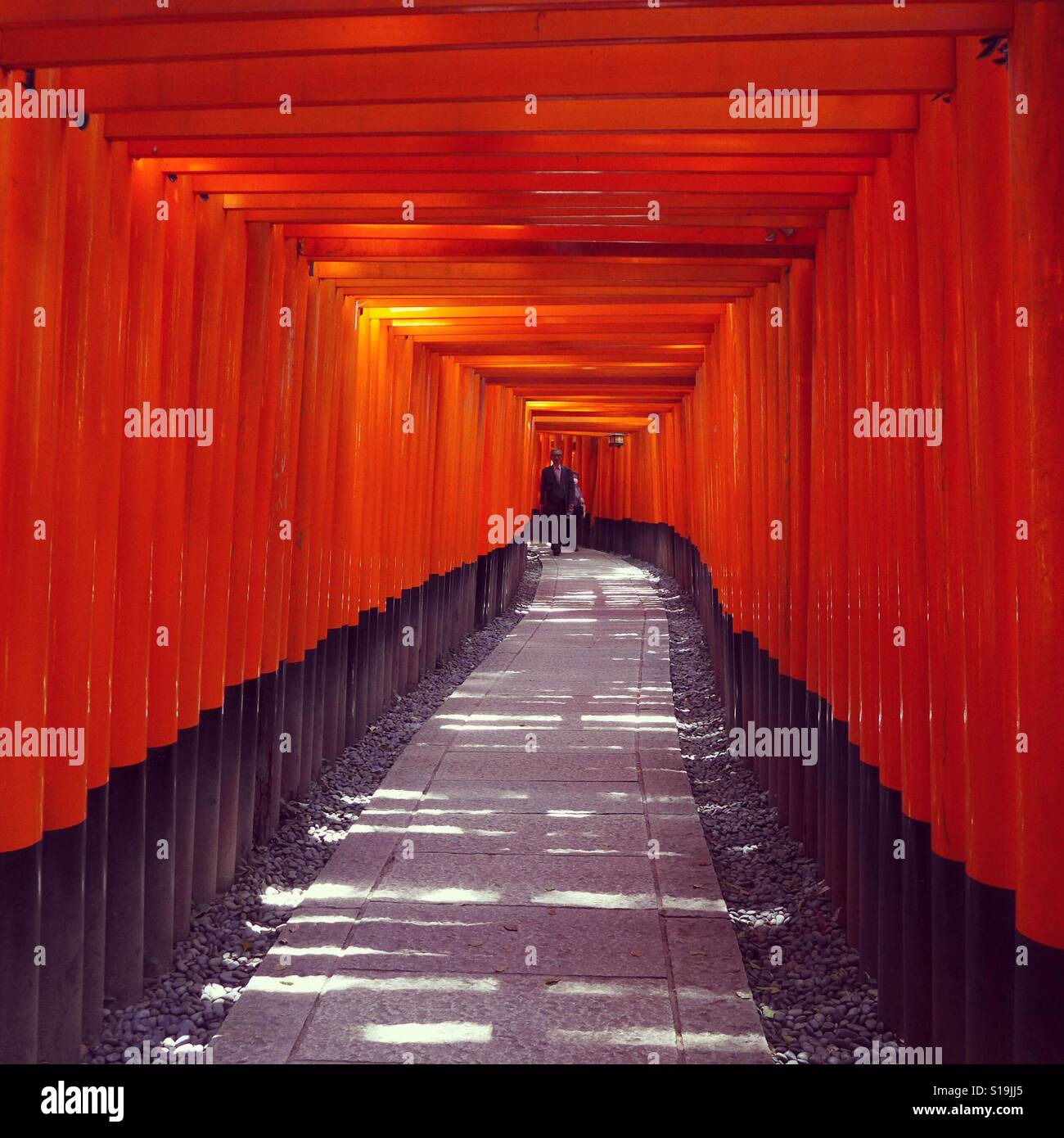 Inari Shrine Stock Photo, Royalty Free Image: 310613469 - Alamy