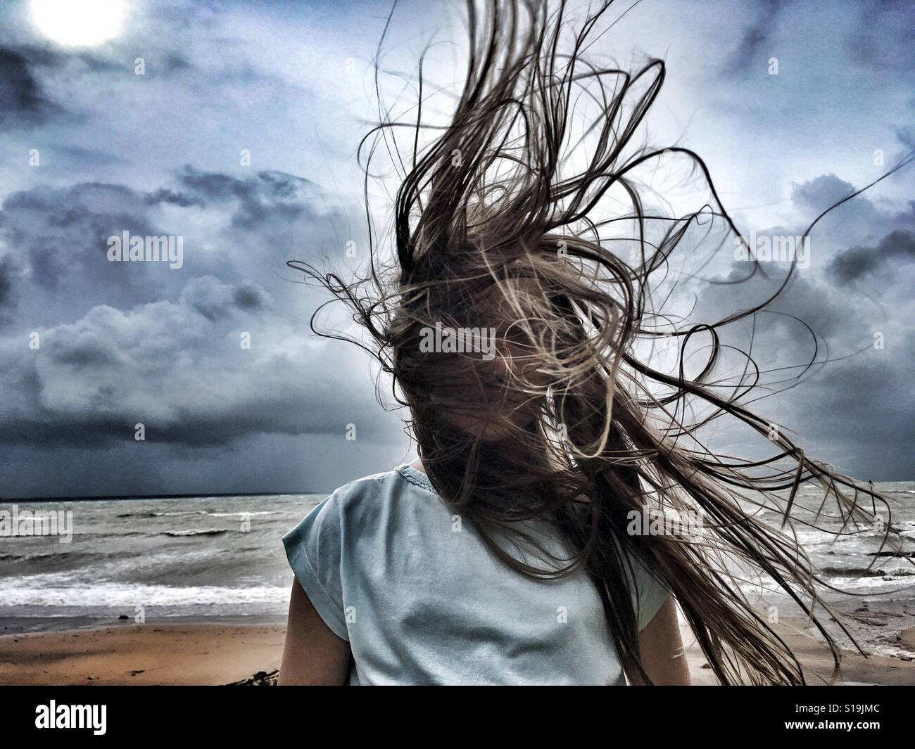 Wild hair day Stock Photo - Alamy