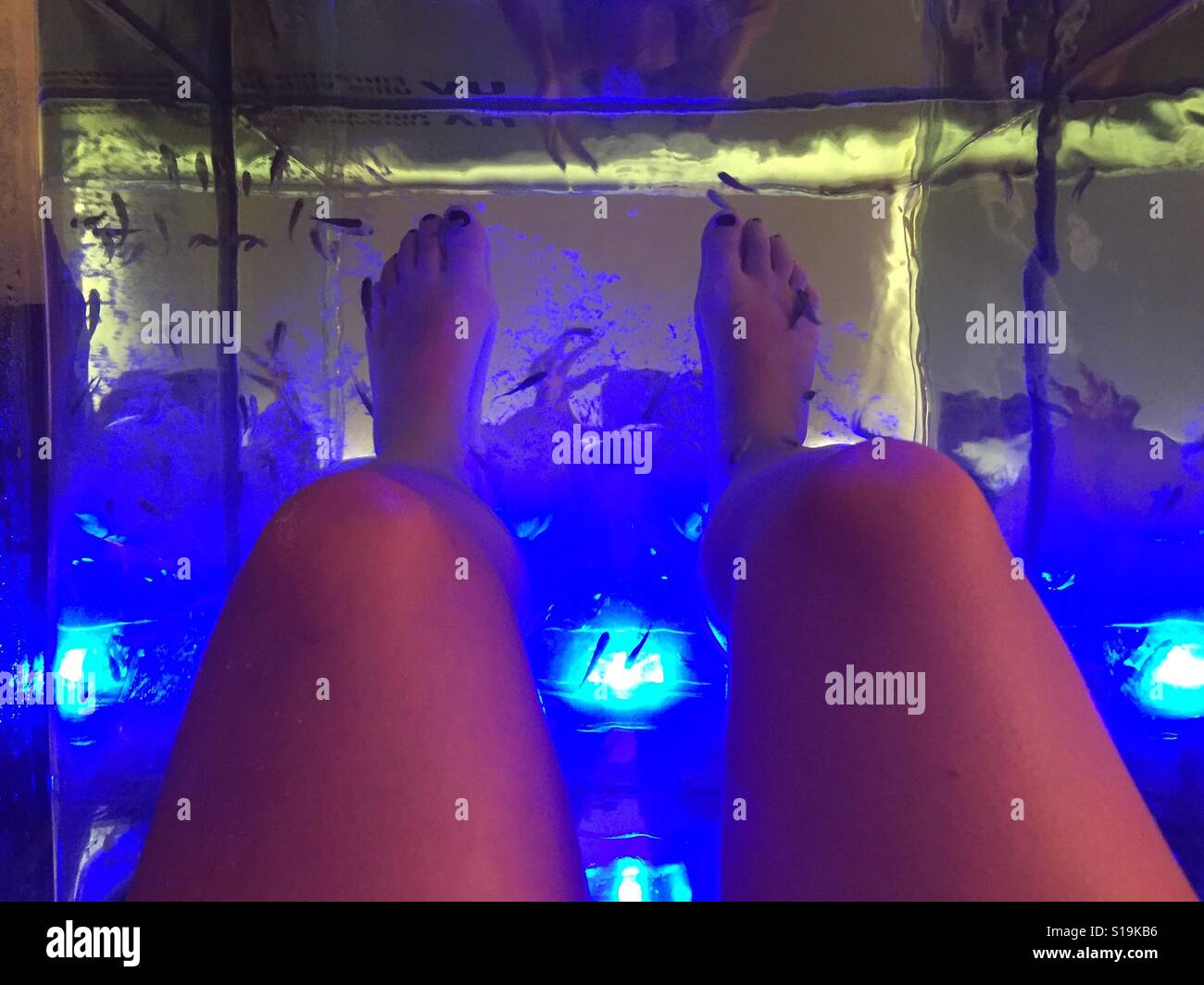 Fish therapy hi-res stock photography and images - Alamy