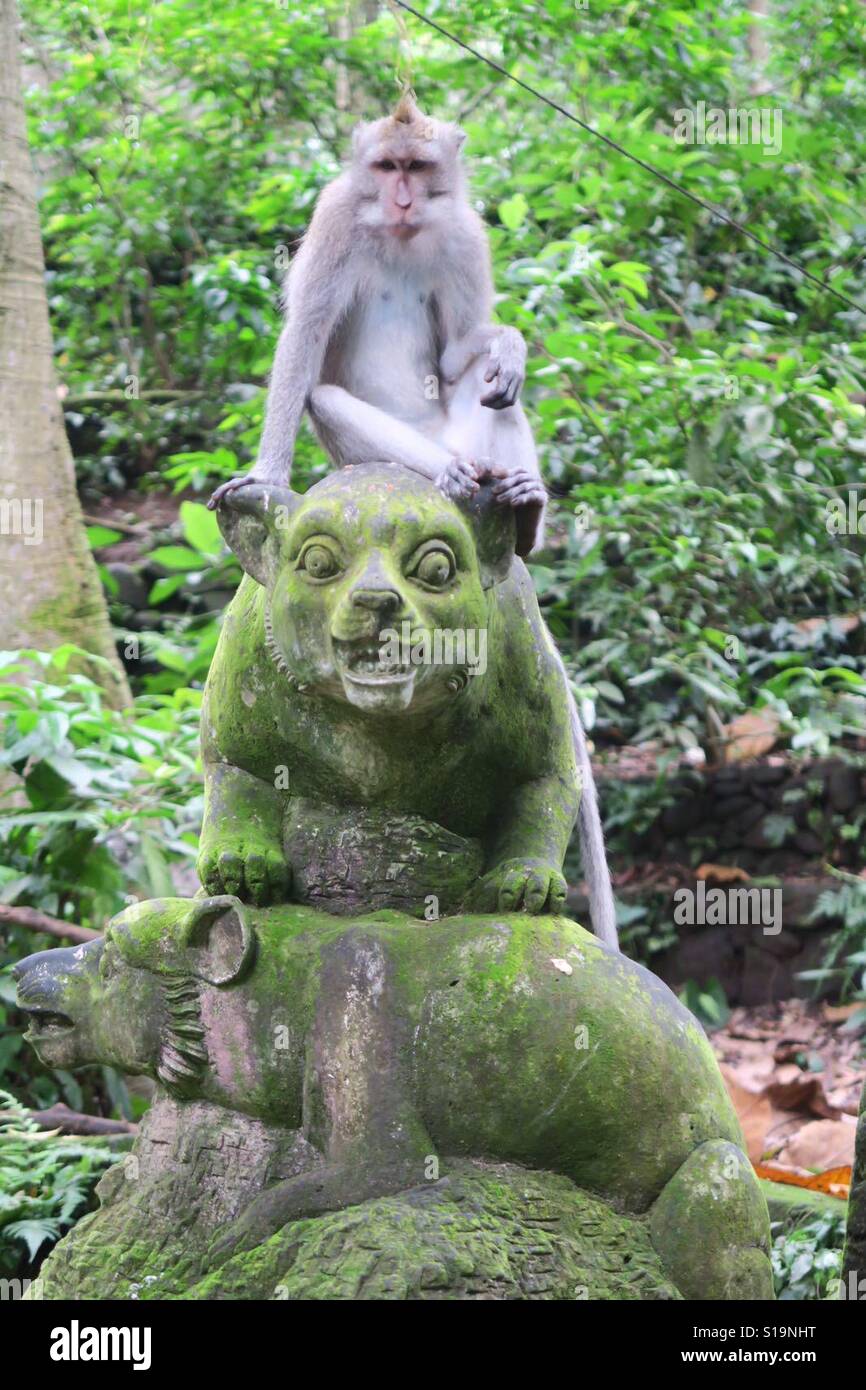 Monkey king hi-res stock photography and images - Alamy