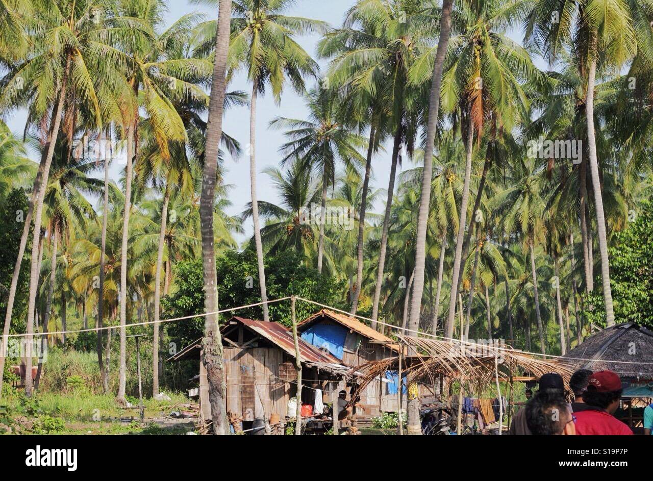 Sumatran Boat High Resolution Stock Photography and Images - Alamy