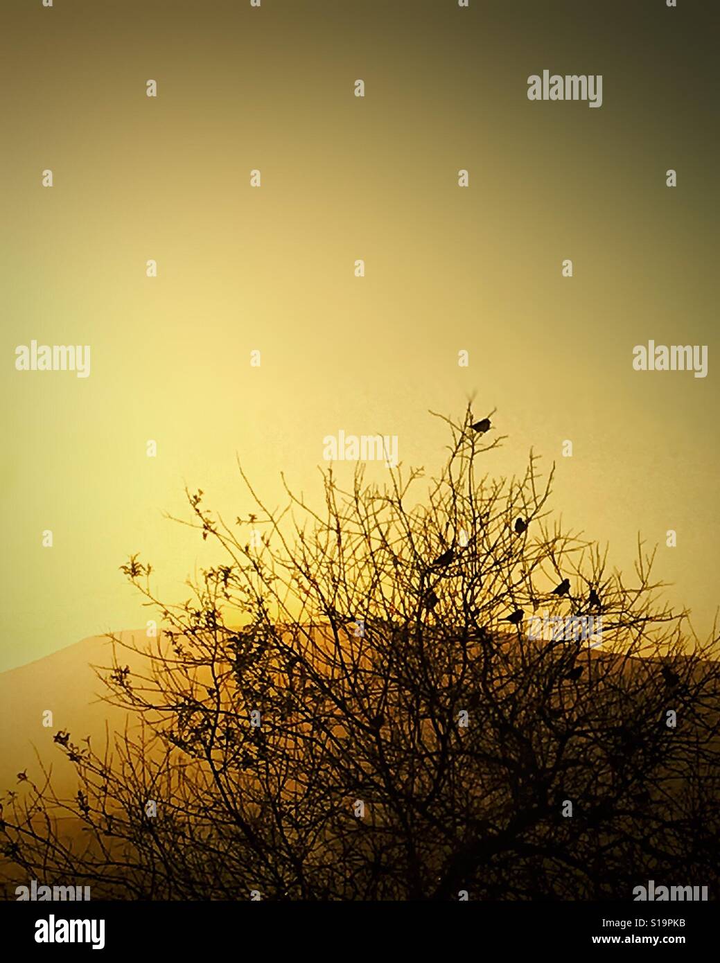 Angels rest sunset - meryiheart