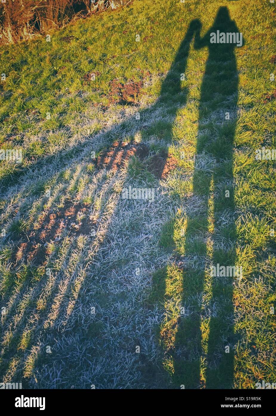 Shadow of a young woman holding onto a fence post with frosty grass ...