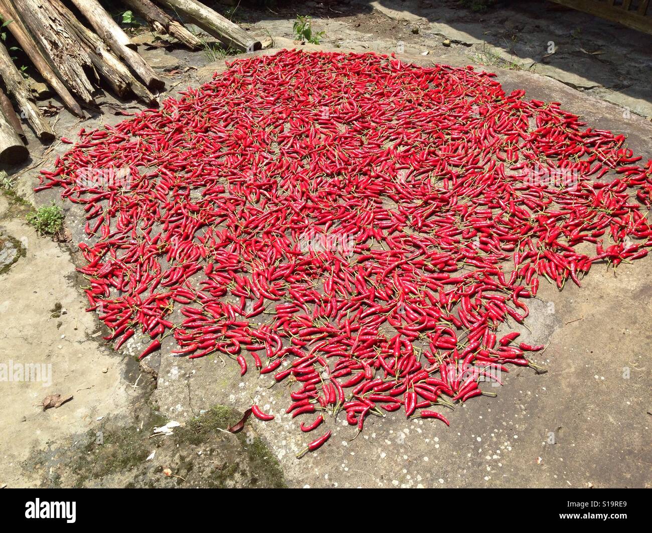 Chillies drying china hi-res stock photography and images - Alamy