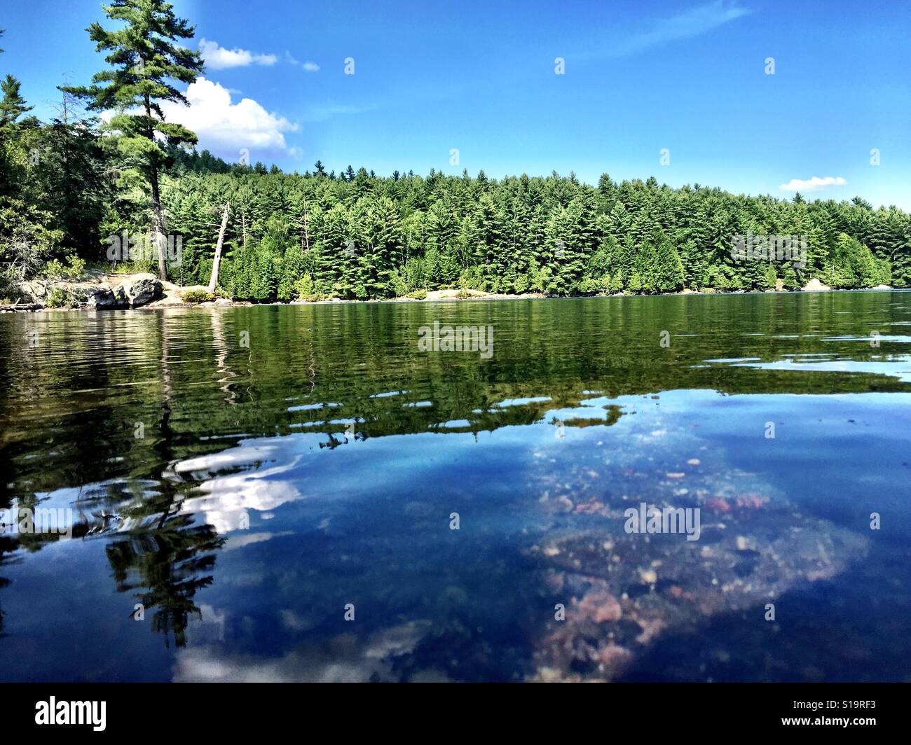 Plevna Stock Photos & Plevna Stock Images - Alamy