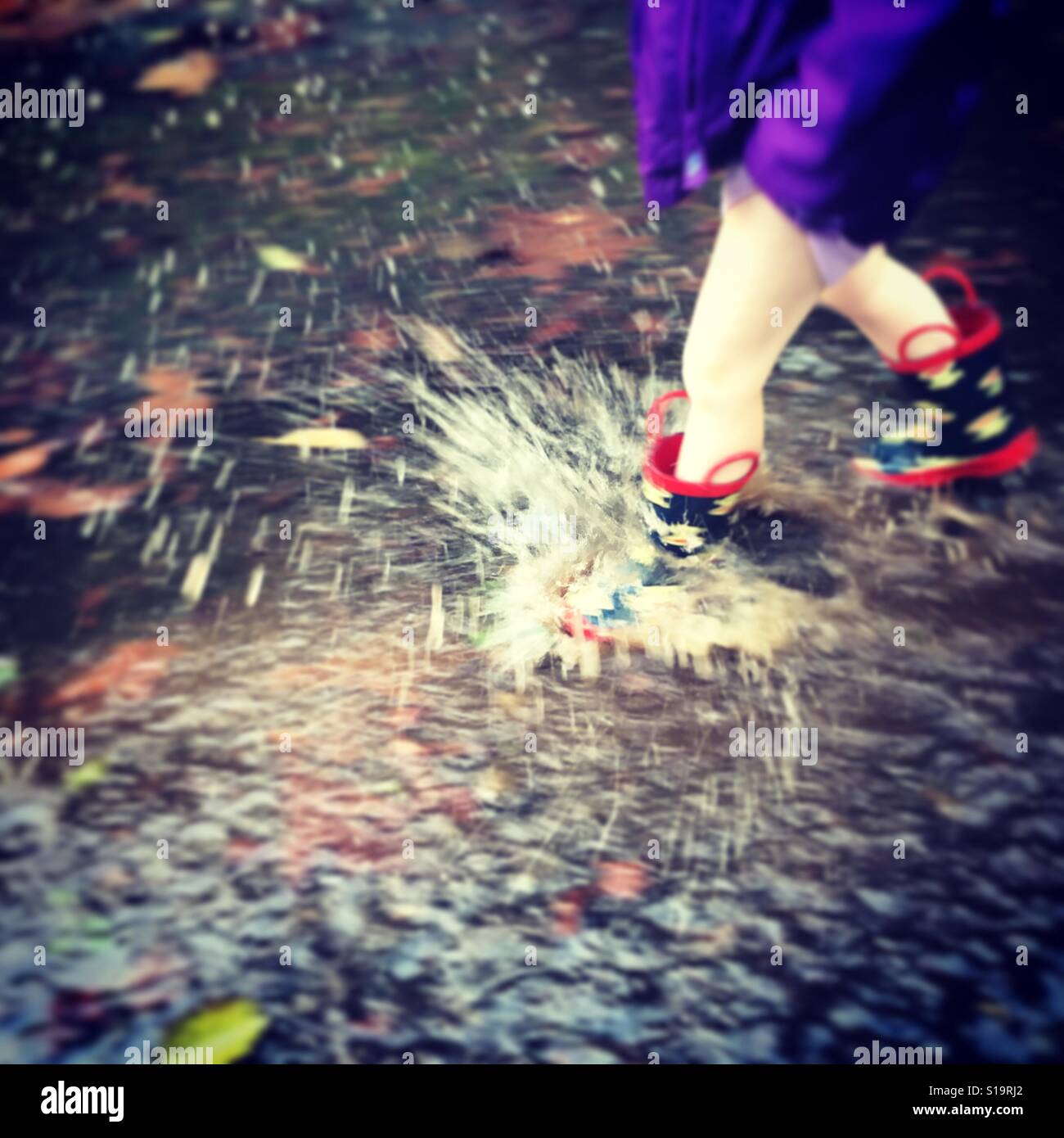 Rain boots and splash hi-res stock photography and images - Alamy