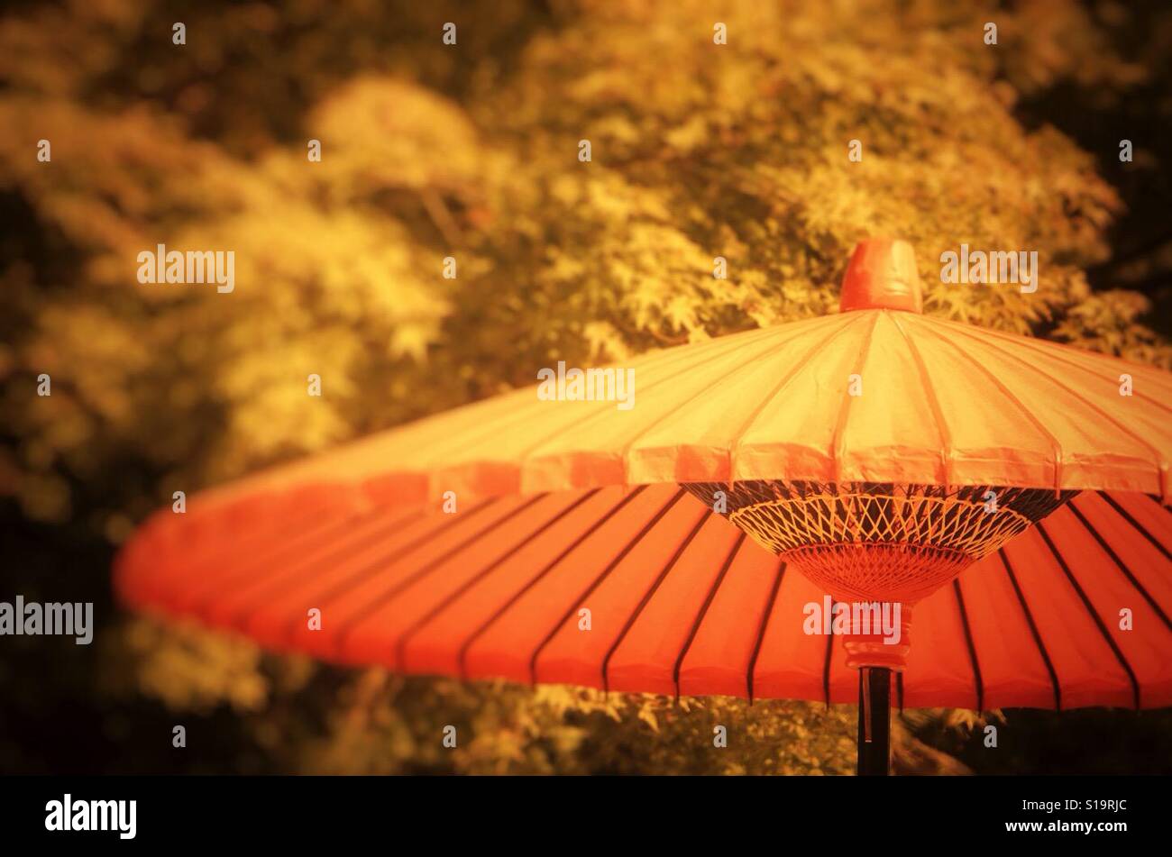 Sunshade japanese hi-res stock photography and images - Alamy