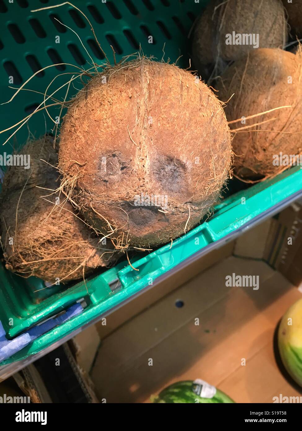 Coconut face hi-res stock photography and images - Alamy