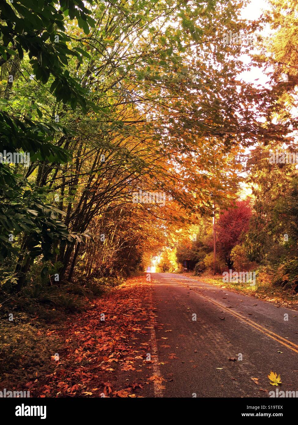 Fall road hi-res stock photography and images - Alamy