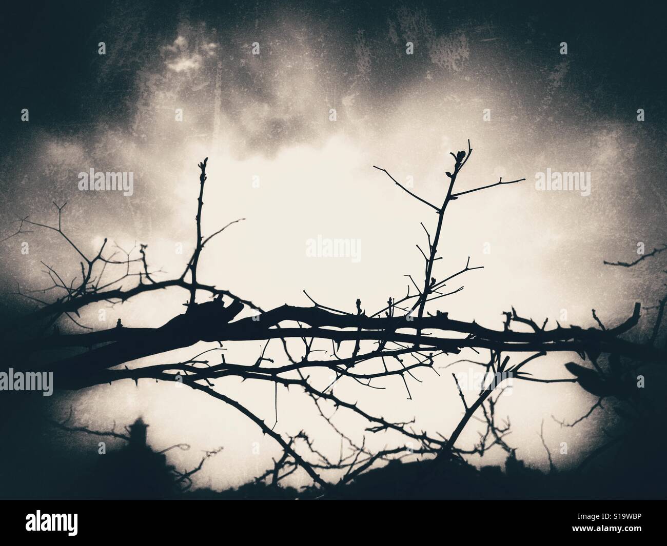 Dismal Stock Photos & Dismal Stock Images - Alamy