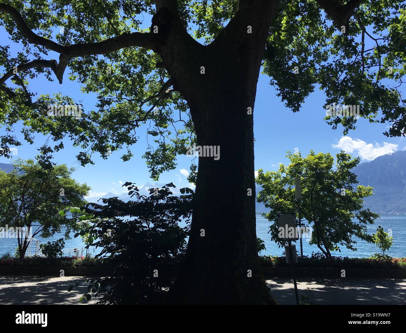 Switzerland holiday hi-res stock photography and images - Alamy