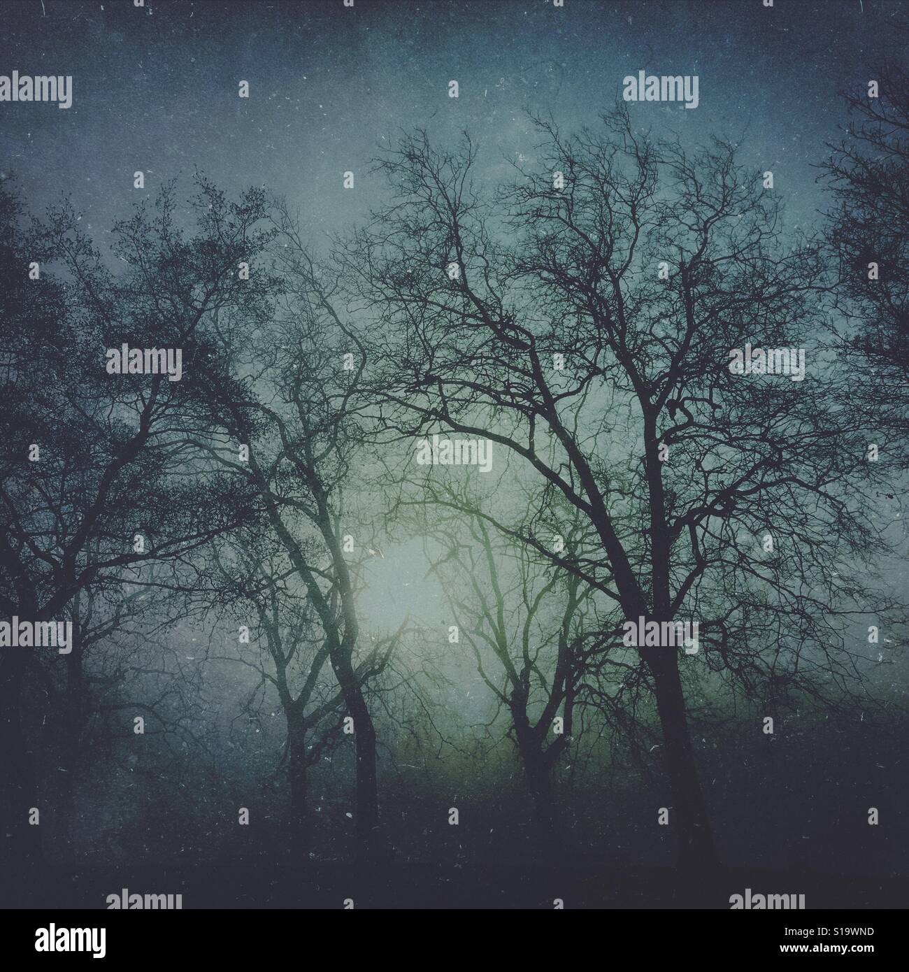 Scary park hi-res stock photography and images - Alamy