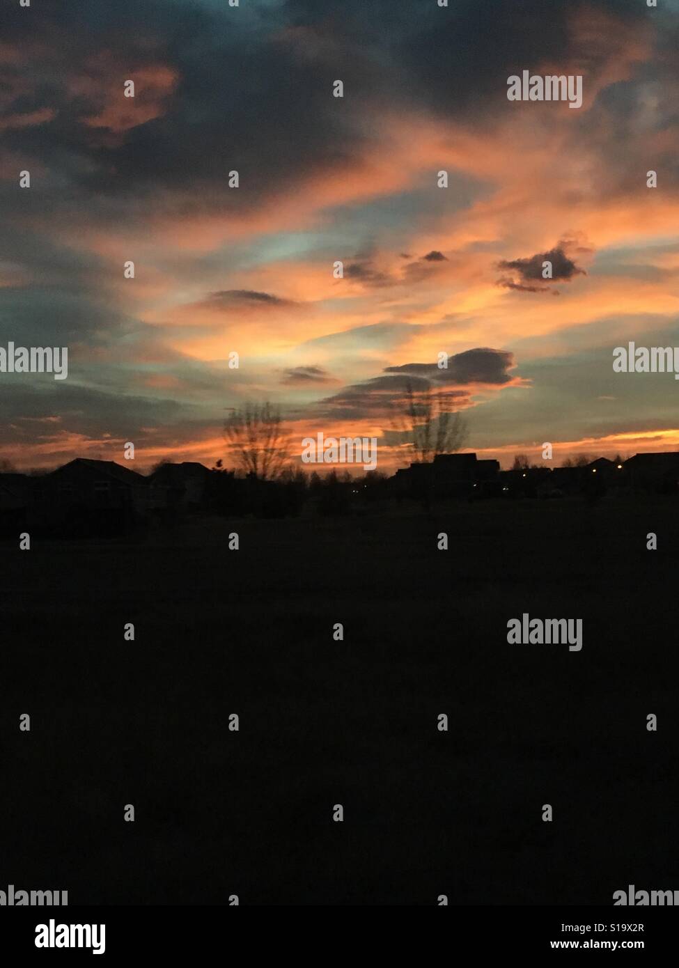 Sunset with silhouette trees hi-res stock photography and images - Alamy