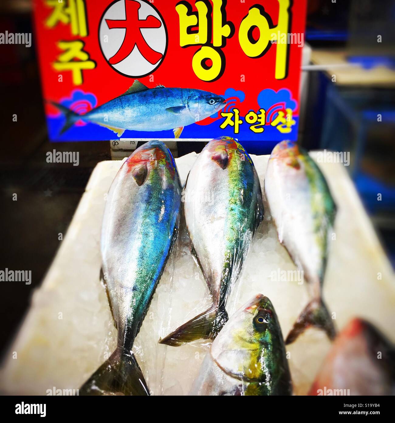 Korean fish market Stock Photo - Alamy