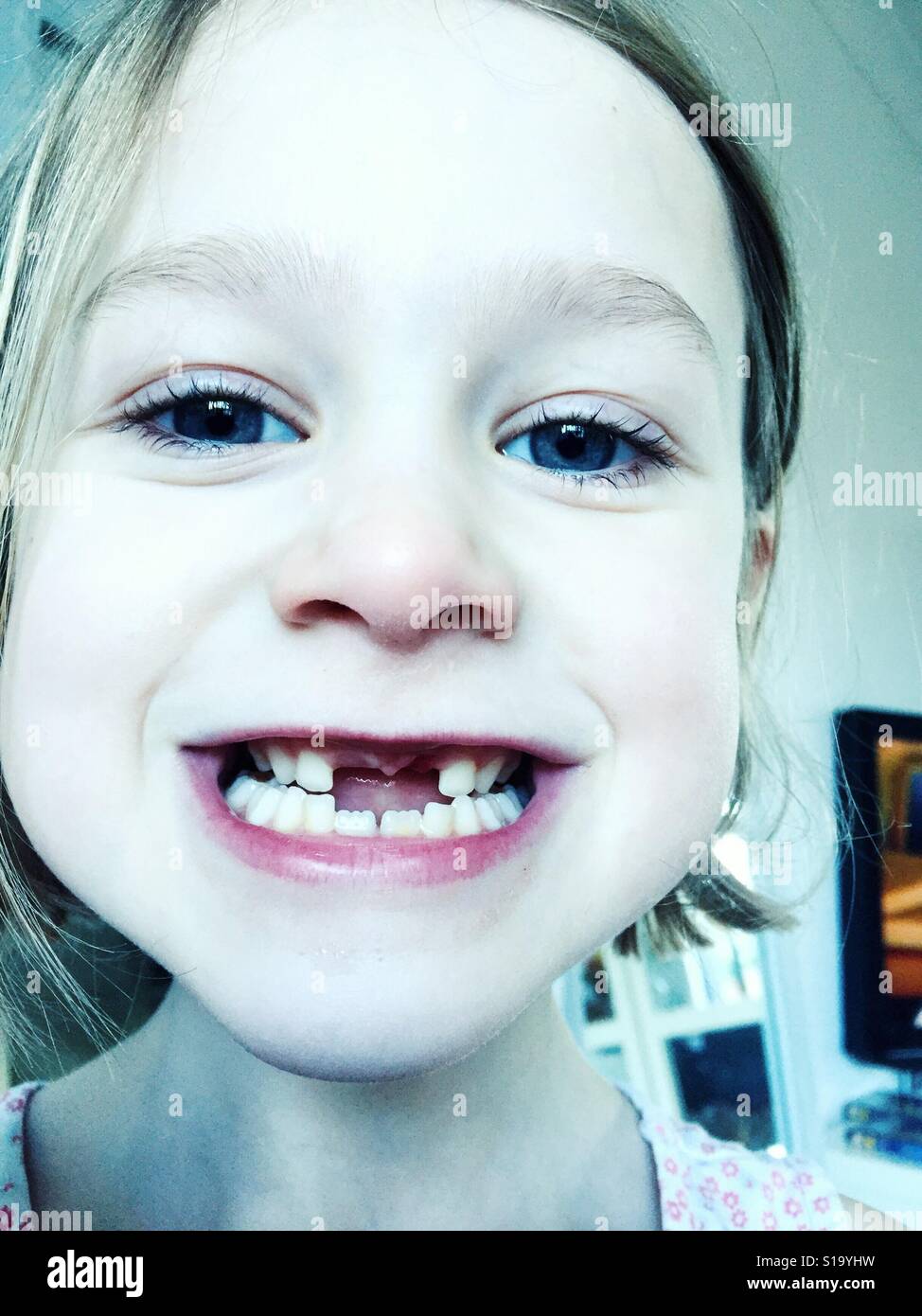 Steve mcdonough Stock Photos & Images from Alamy