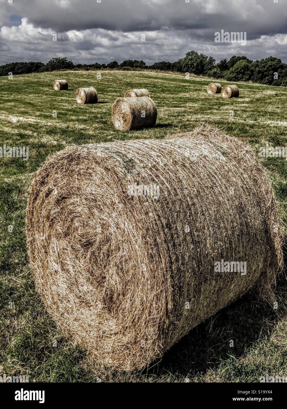 Haystacks Stock Photo, Royalty Free Image: 310620748 - Alamy