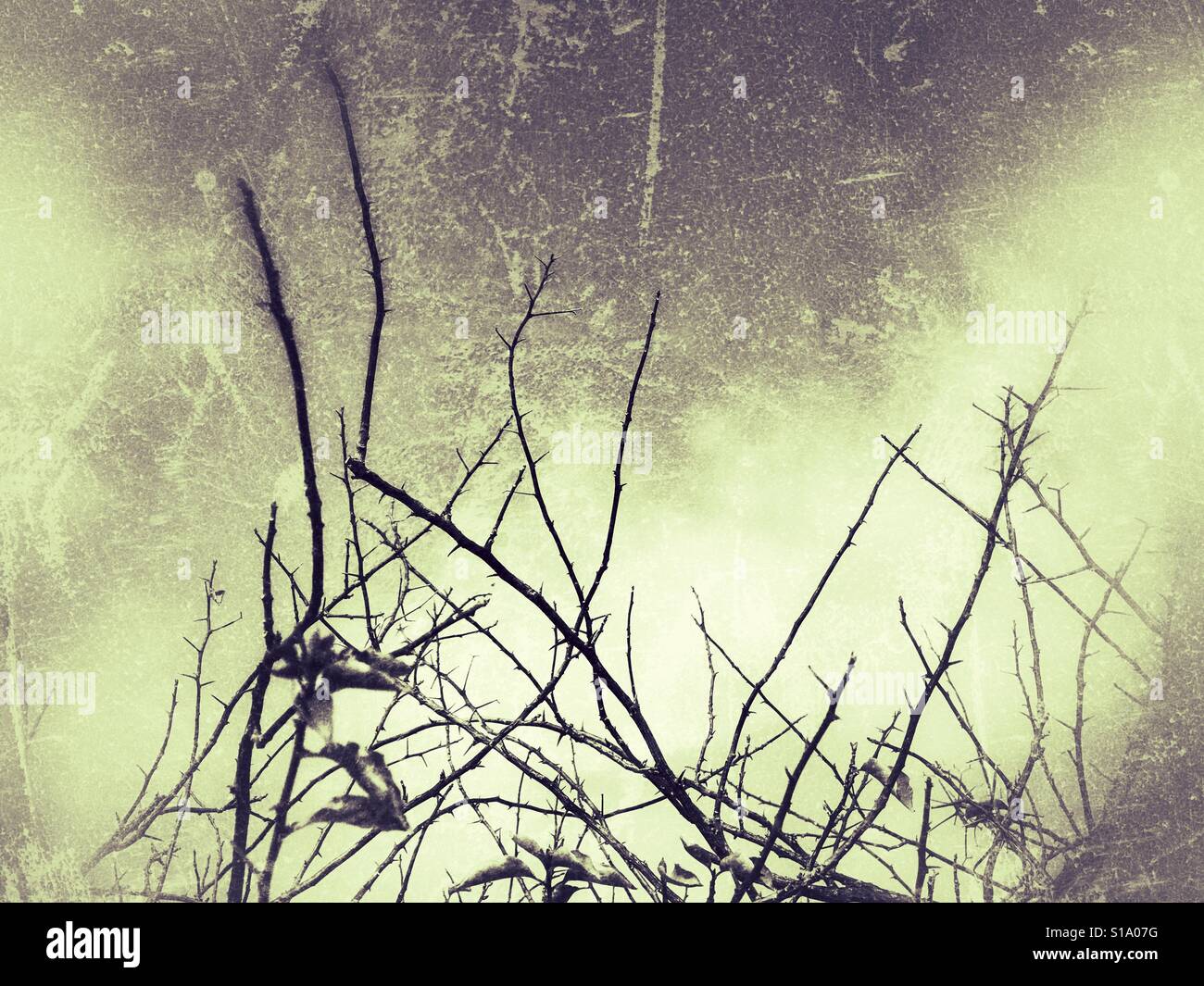 Dismal hi-res stock photography and images - Alamy