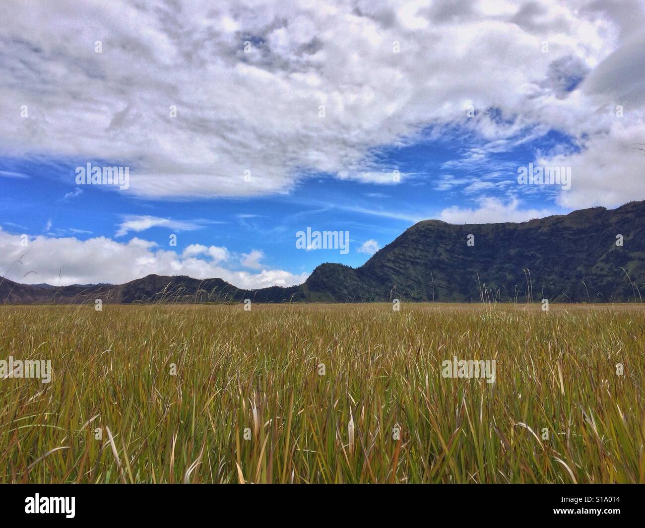 Bromo Mountain High Resolution Stock Photography and Images - Alamy