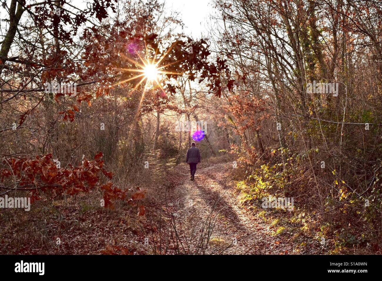 Sunshine walk hi-res stock photography and images - Alamy