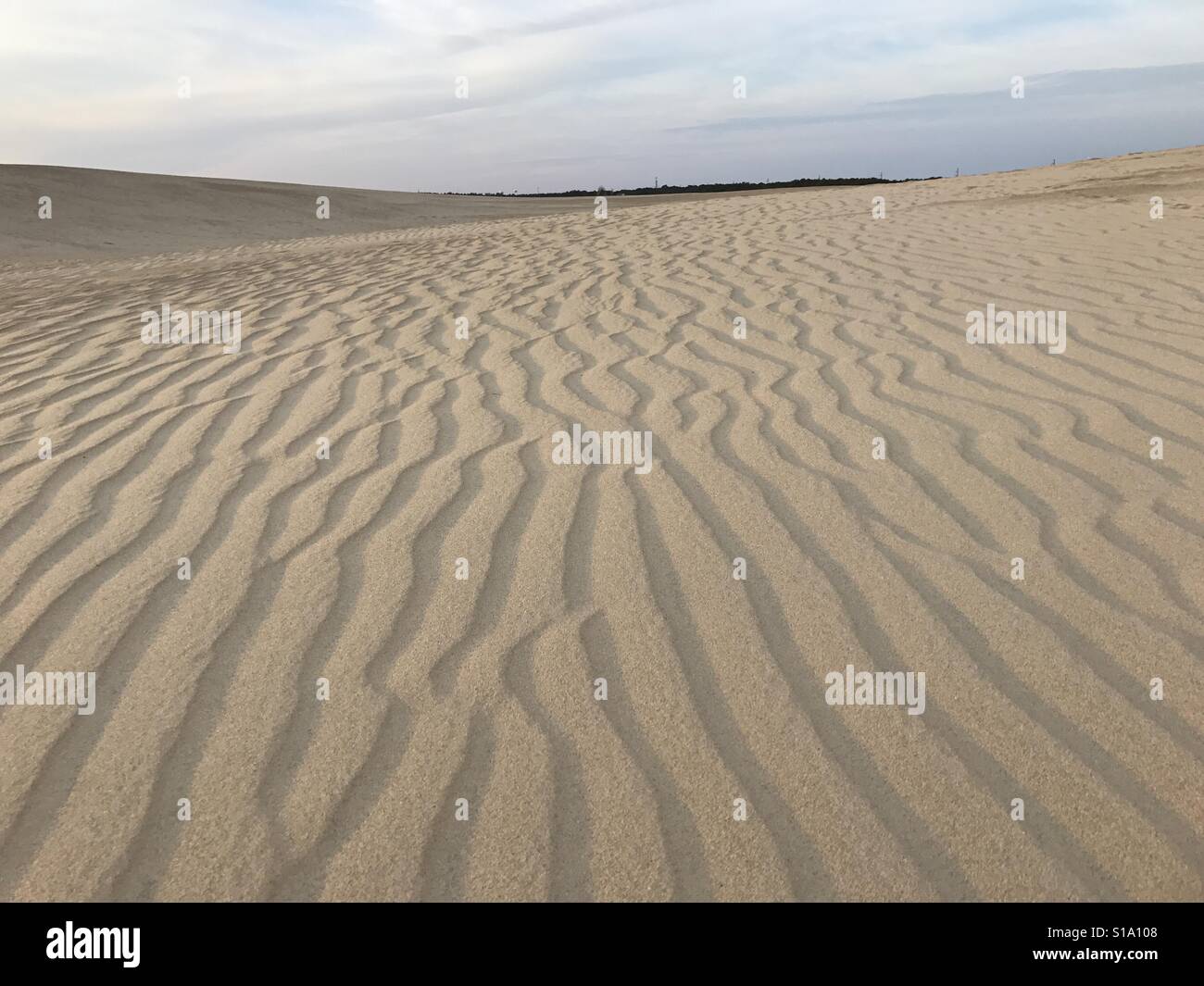 Jockeys ridge hi-res stock photography and images - Alamy