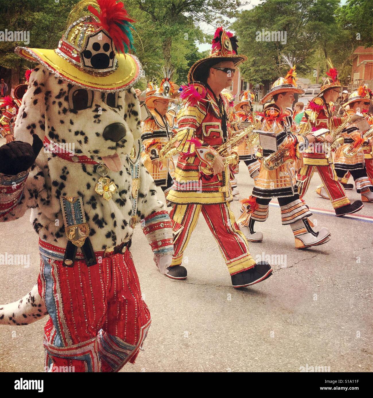 Marching Dog and People in a Parade Stock Photo - Alamy
