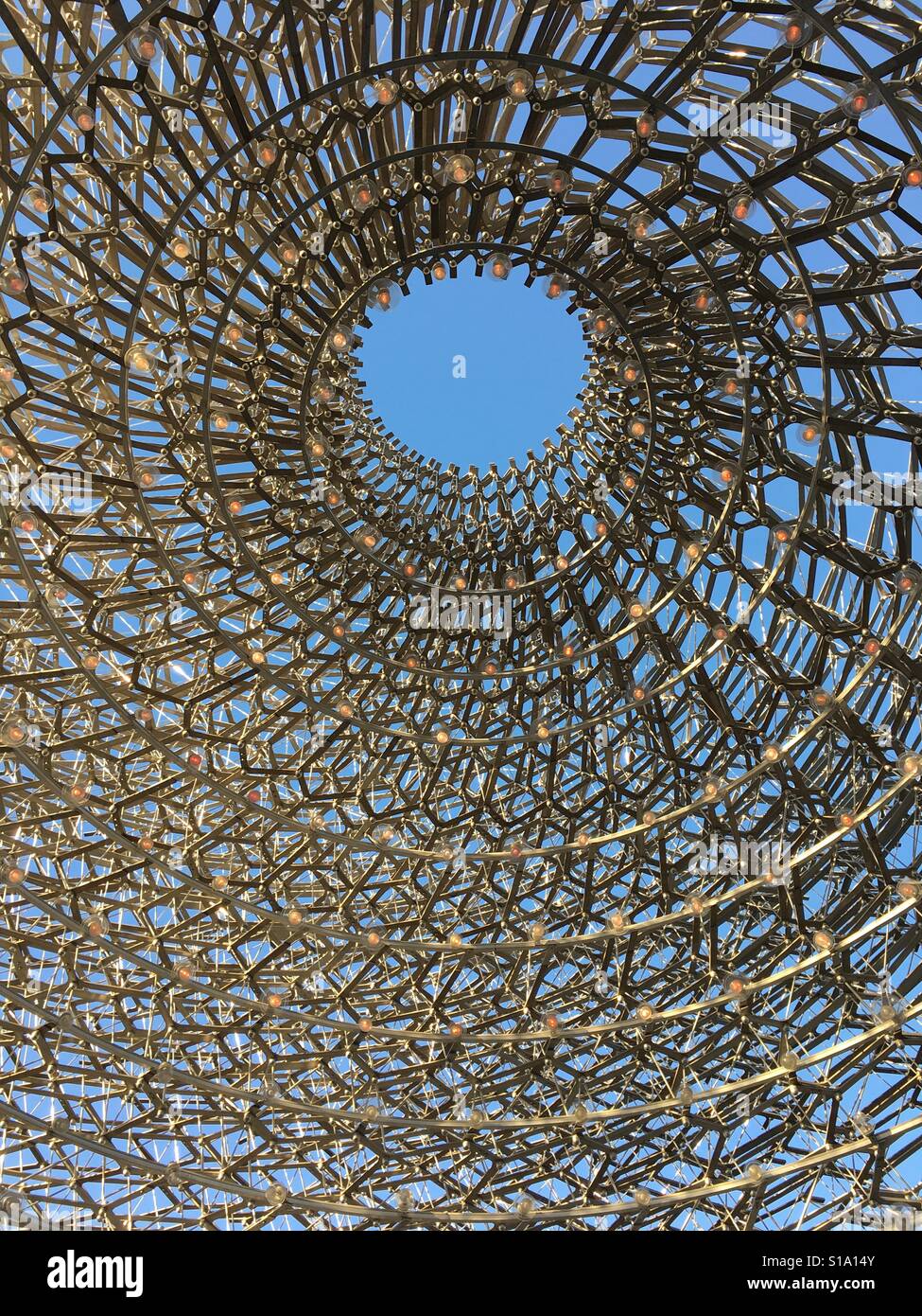 Wolfgang buttress hive hi-res stock photography and images - Alamy