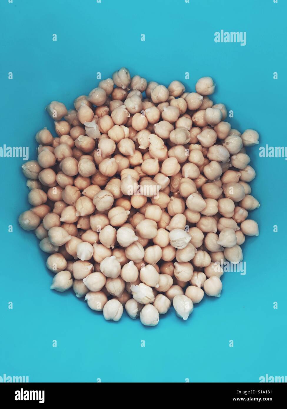 Chickpeas on a blue background Stock Photo - Alamy