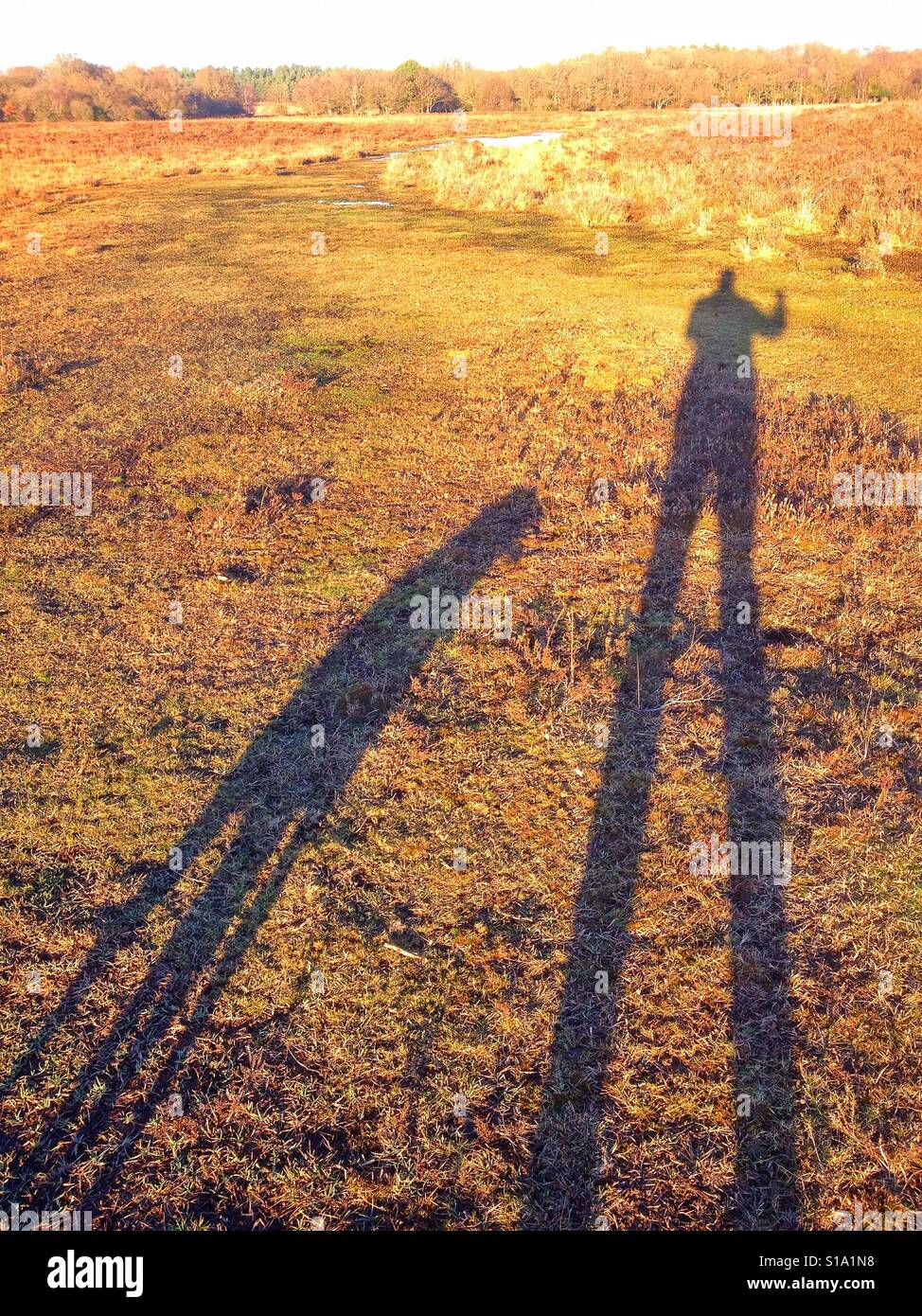 Long shadow of man and dog hi-res stock photography and images - Alamy