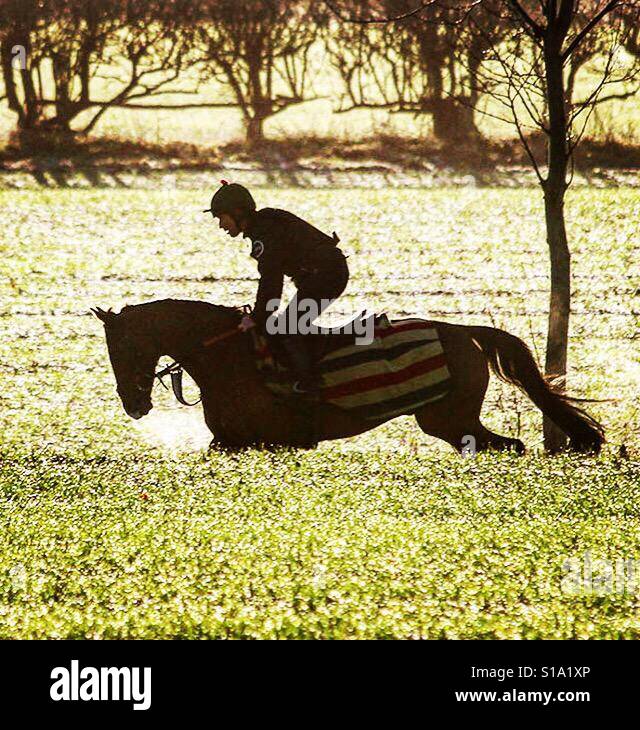Training on the gallops hi-res stock photography and images - Alamy